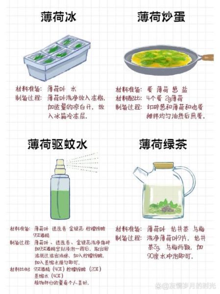 凉拌薄荷用不用焯水_焯水会不会破坏香味-第3张图片-山城妙识