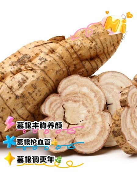 野生葛根的功效与作用_野生葛根怎么吃最好-第1张图片-山城妙识