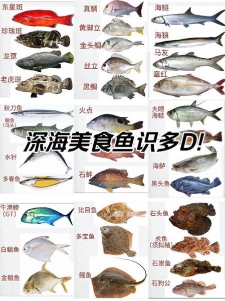 深海鱼类有哪些鱼_深海鱼常见品种-第1张图片-山城妙识