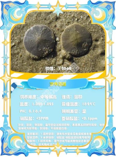 海胆的营养价值_海胆的危害有哪些-第3张图片-山城妙识