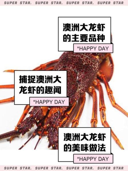 澳洲大龙虾一只几斤_澳洲龙虾重量怎么选-第3张图片-山城妙识