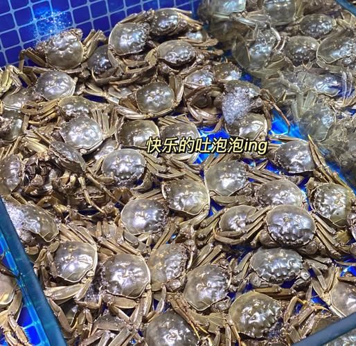 太原大闸蟹多少钱一斤_太原大闸蟹价格行情-第1张图片-山城妙识