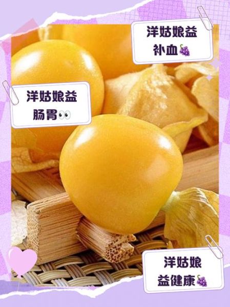 洋姑娘是什么_洋姑娘的功效与作用-第1张图片-山城妙识