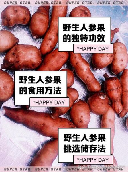 人参果的营养价值_人参果的功效与禁忌-第2张图片-山城妙识