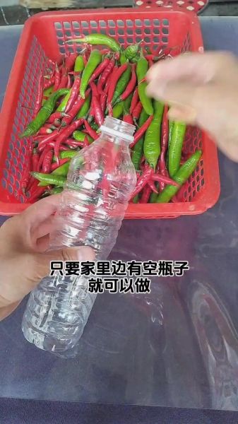 泡椒怎么泡_家庭自制泡椒的做法-第1张图片-山城妙识