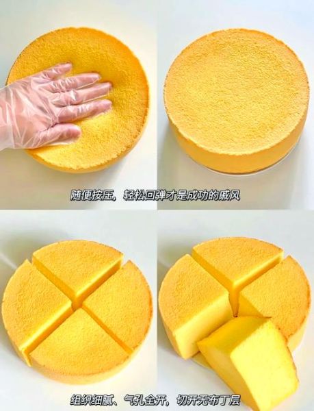 新手烘焙蛋糕用什么烤箱_戚风蛋糕塌陷怎么办-第1张图片-山城妙识