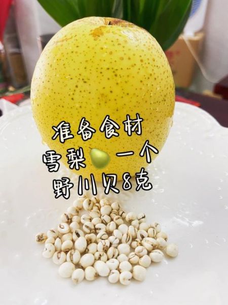 川贝炖雪梨怎么做_川贝炖雪梨止咳做法-第3张图片-山城妙识 川贝炖雪梨怎么做_川贝炖雪梨止咳做法-第3张图片-山城妙识