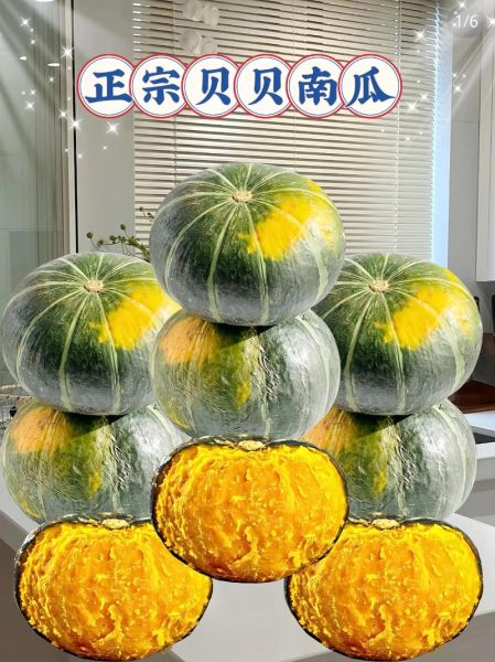 南瓜粥用什么南瓜_老南瓜还是贝贝南瓜-第1张图片-山城妙识