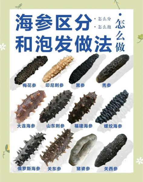 干海参怎么泡发_干海参多少钱一斤-第2张图片-山城妙识