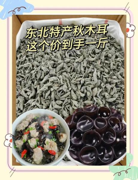 东北特产有哪些吃的_东北好吃的土特产推荐-第1张图片-山城妙识