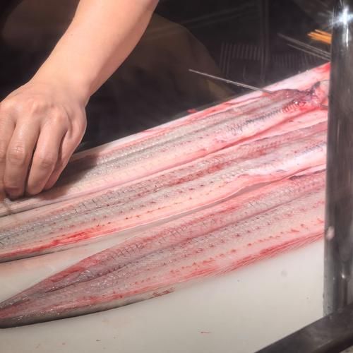 鱼切片怎么切_鱼片怎么切图解-第3张图片-山城妙识