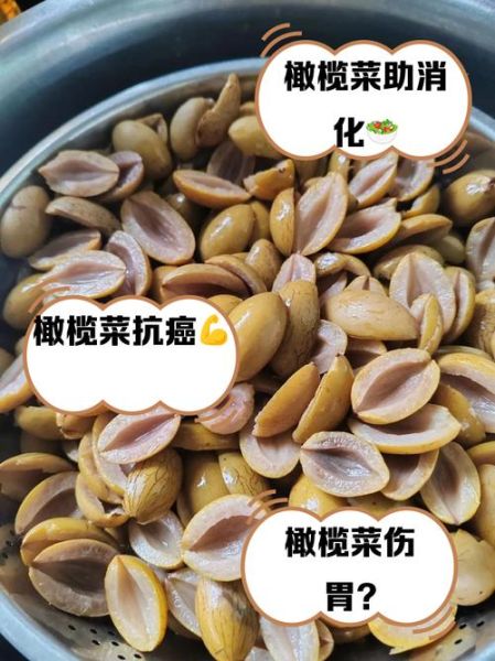 橄榄菜不能和什么一起吃_孕妇能吃橄榄菜吗-第1张图片-山城妙识