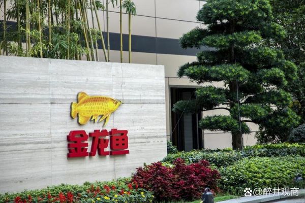 金龙鱼为什么没被禁止_国家监管逻辑-第3张图片-山城妙识