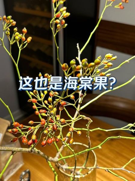 海红是什么_海红和海棠果区别-第2张图片-山城妙识