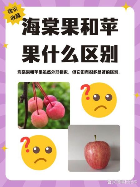 海红是什么_海红和海棠果区别-第1张图片-山城妙识
