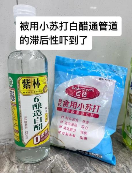 小苏打替代品有哪些_白醋能代替小苏打吗-第1张图片-山城妙识