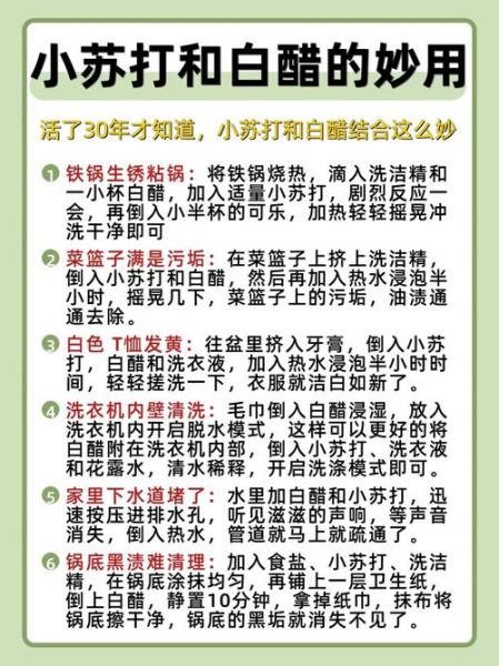 小苏打替代品有哪些_白醋能代替小苏打吗-第2张图片-山城妙识