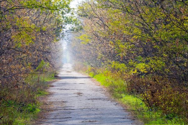 羊肠小道怎么走_羊肠小道适合自驾吗-第2张图片-山城妙识
