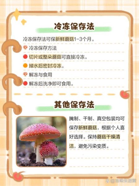 新鲜蘑菇怎么保存_新鲜蘑菇可以冷冻吗-第2张图片-山城妙识