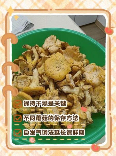 新鲜蘑菇怎么保存_新鲜蘑菇可以冷冻吗-第3张图片-山城妙识