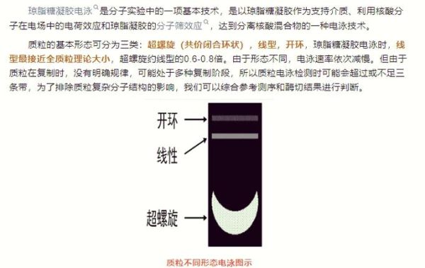 琼脂条怎么用_琼脂条和水的比例是多少-第2张图片-山城妙识