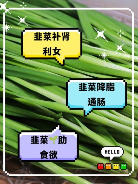 女人吃韭菜的好处_女人吃韭菜能减肥吗-第1张图片-山城妙识 女人吃韭菜的好处_女人吃韭菜能减肥吗-第1张图片-山城妙识