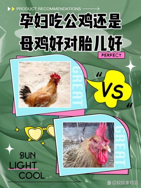 孕妇可以吃鸡肉吗_孕期吃鸡肉的注意事项-第1张图片-山城妙识