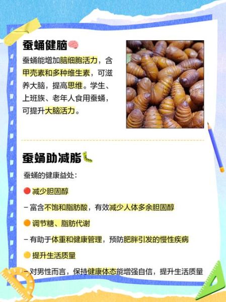 吃蚕蛹的禁忌_蚕蛹不能和什么一起吃-第2张图片-山城妙识