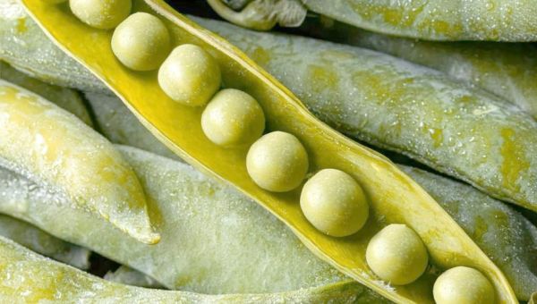 豌豆荚免费下载安装_豌豆荚安全吗-第3张图片-山城妙识