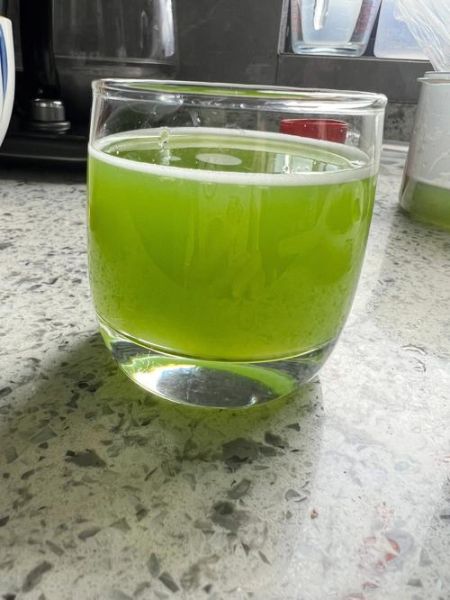 苦瓜汁可以天天喝吗_苦瓜汁减肥的正确喝法-第2张图片-山城妙识