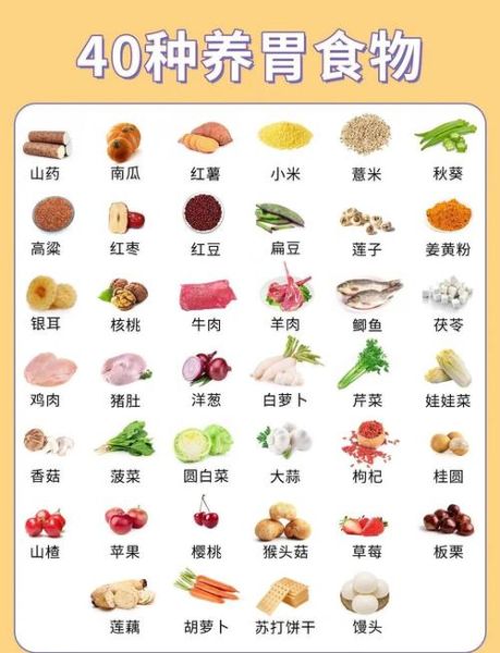 养胃的食物有哪些_胃不好吃什么最养胃-第1张图片-山城妙识