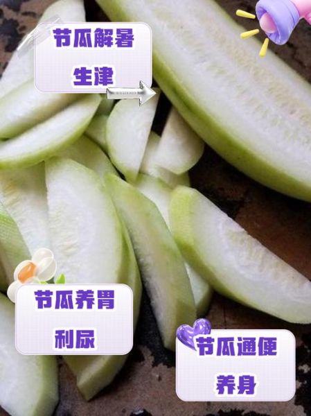 节瓜的功效与作用_节瓜的禁忌有哪些-第1张图片-山城妙识 节瓜的功效与作用_节瓜的禁忌有哪些-第1张图片-山城妙识