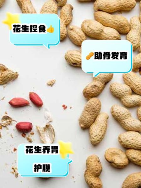 吃生花生米有什么好处_生花生米一天吃多少合适-第3张图片-山城妙识