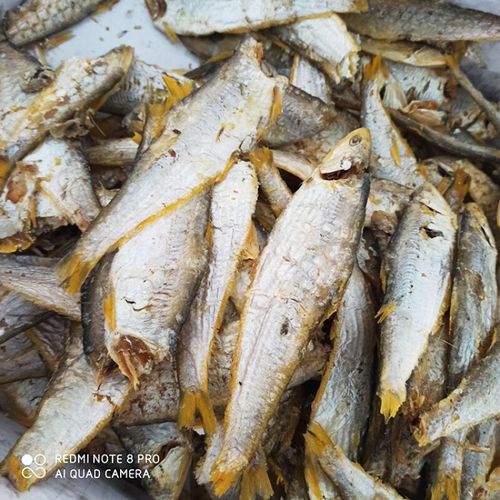 锅包鱼是什么鱼_锅包鱼好吃吗-第1张图片-山城妙识