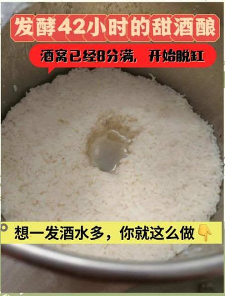 酒酿怎么做_酒酿发酵失败的原因-第3张图片-山城妙识