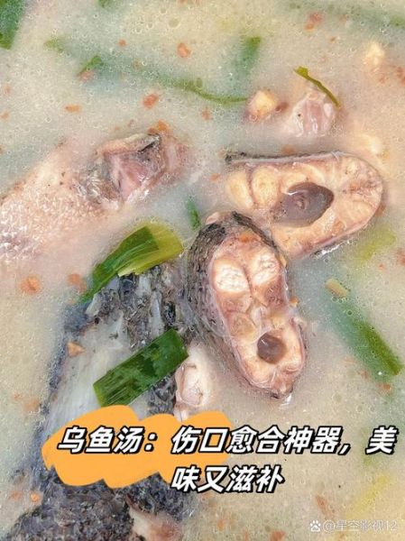 乌鱼和什么一起炖愈合伤口快_术后恢复汤品推荐-第2张图片-山城妙识