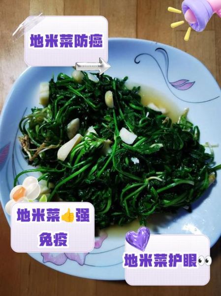 地米菜的功效与作用_地米菜怎么吃最营养-第1张图片-山城妙识