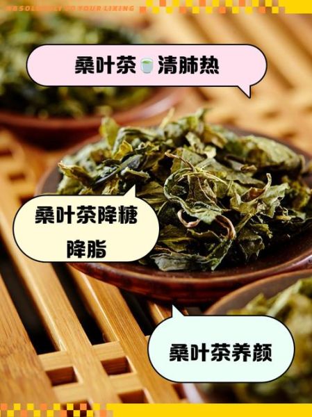 桑叶的副作用有哪些_桑叶有毒性吗-第3张图片-山城妙识