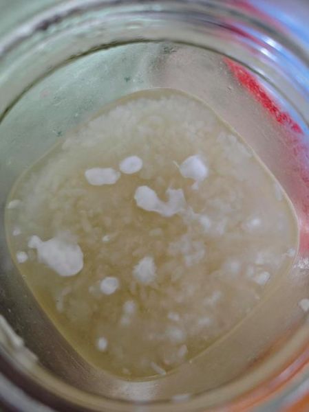 酒酿长什么样_酒酿图片特征-第3张图片-山城妙识