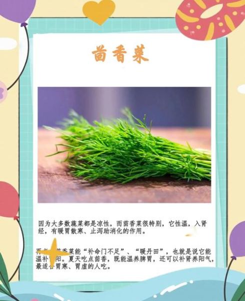 绿叶蔬菜有哪些_如何快速识别常见品种-第2张图片-山城妙识 绿叶蔬菜有哪些_如何快速识别常见品种-第2张图片-山城妙识