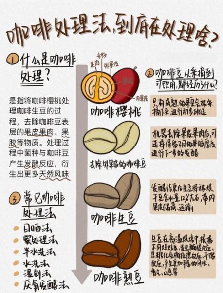 咖啡豆怎么吃_咖啡豆怎么处理-第1张图片-山城妙识