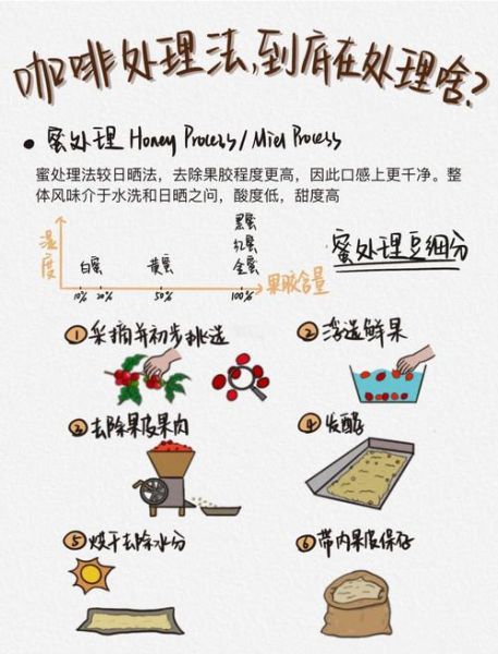 咖啡豆怎么吃_咖啡豆怎么处理-第3张图片-山城妙识