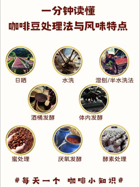 咖啡豆怎么吃_咖啡豆怎么处理-第2张图片-山城妙识