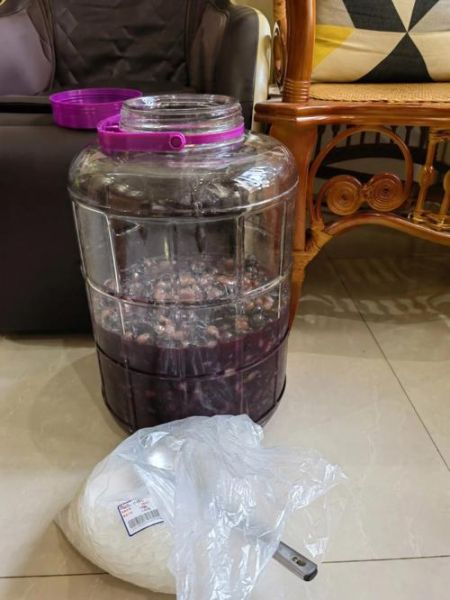 自制白葡萄酒怎么做_自制白葡萄酒需要多久-第3张图片-山城妙识 自制白葡萄酒怎么做_自制白葡萄酒需要多久-第3张图片-山城妙识