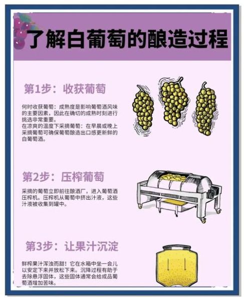 自制白葡萄酒怎么做_自制白葡萄酒需要多久-第1张图片-山城妙识 自制白葡萄酒怎么做_自制白葡萄酒需要多久-第1张图片-山城妙识