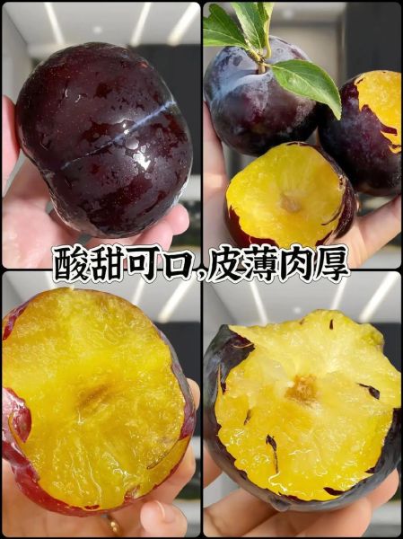 黑布林多少钱一斤_黑布林价格行情-第2张图片-山城妙识 黑布林多少钱一斤_黑布林价格行情-第2张图片-山城妙识