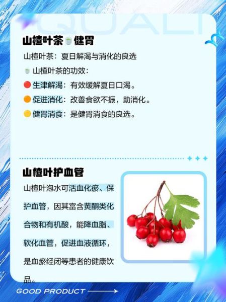 山楂叶的功效与作用_山楂叶泡水喝的禁忌-第2张图片-山城妙识