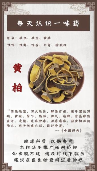 黄柏的功效与作用_黄柏的副作用有哪些-第1张图片-山城妙识