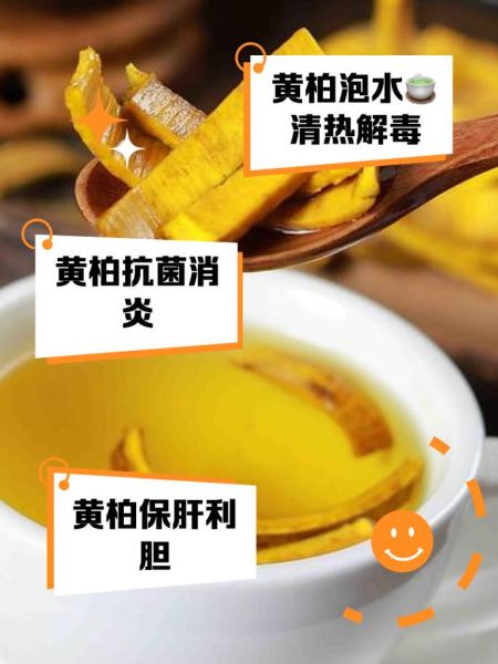 黄柏的功效与作用_黄柏的副作用有哪些-第3张图片-山城妙识