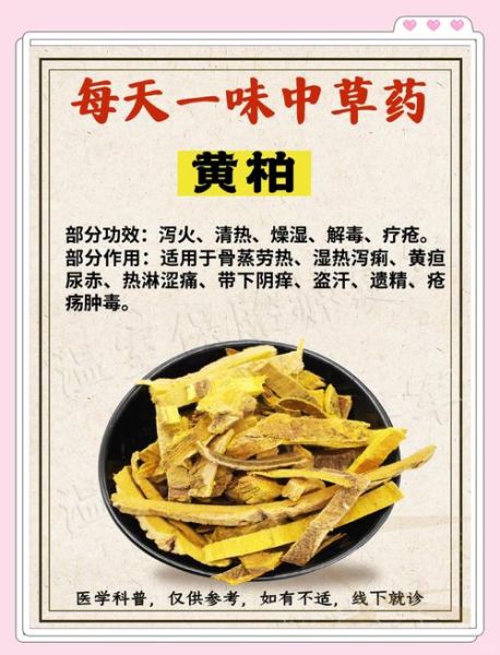 黄柏的功效与作用_黄柏的副作用有哪些-第2张图片-山城妙识
